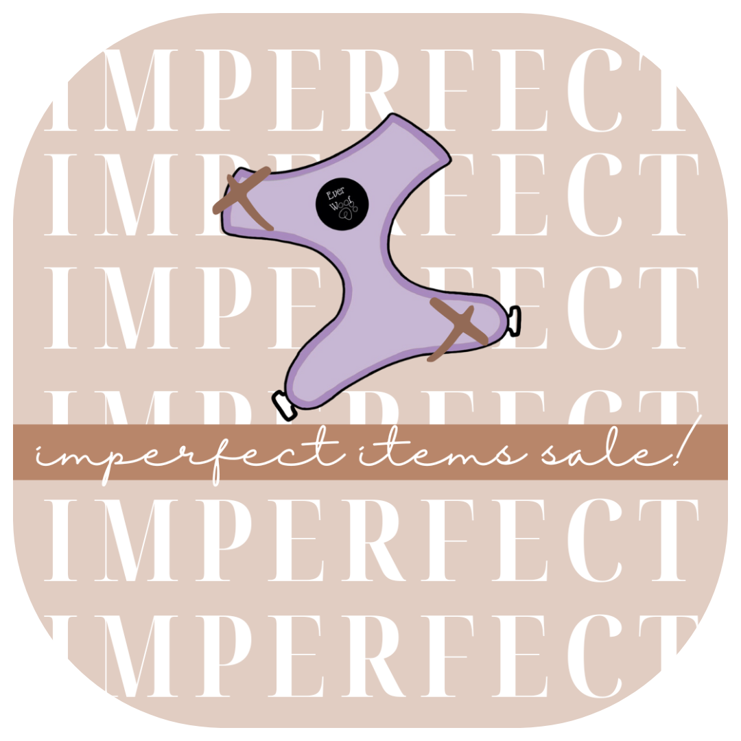 Imperfect Sale! – EverWoof