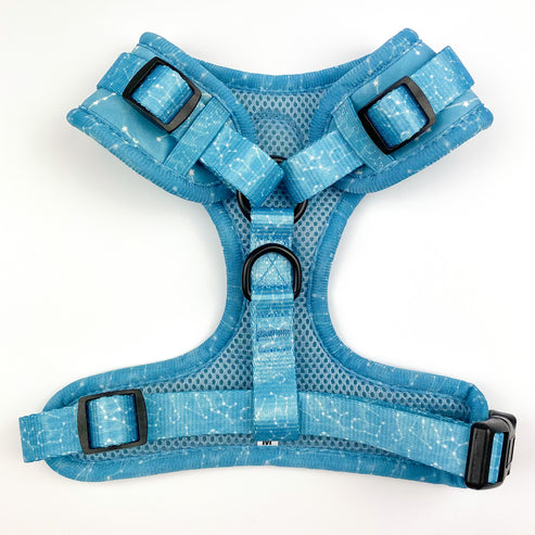 Star Gaze Adjustable Harness – EverWoof